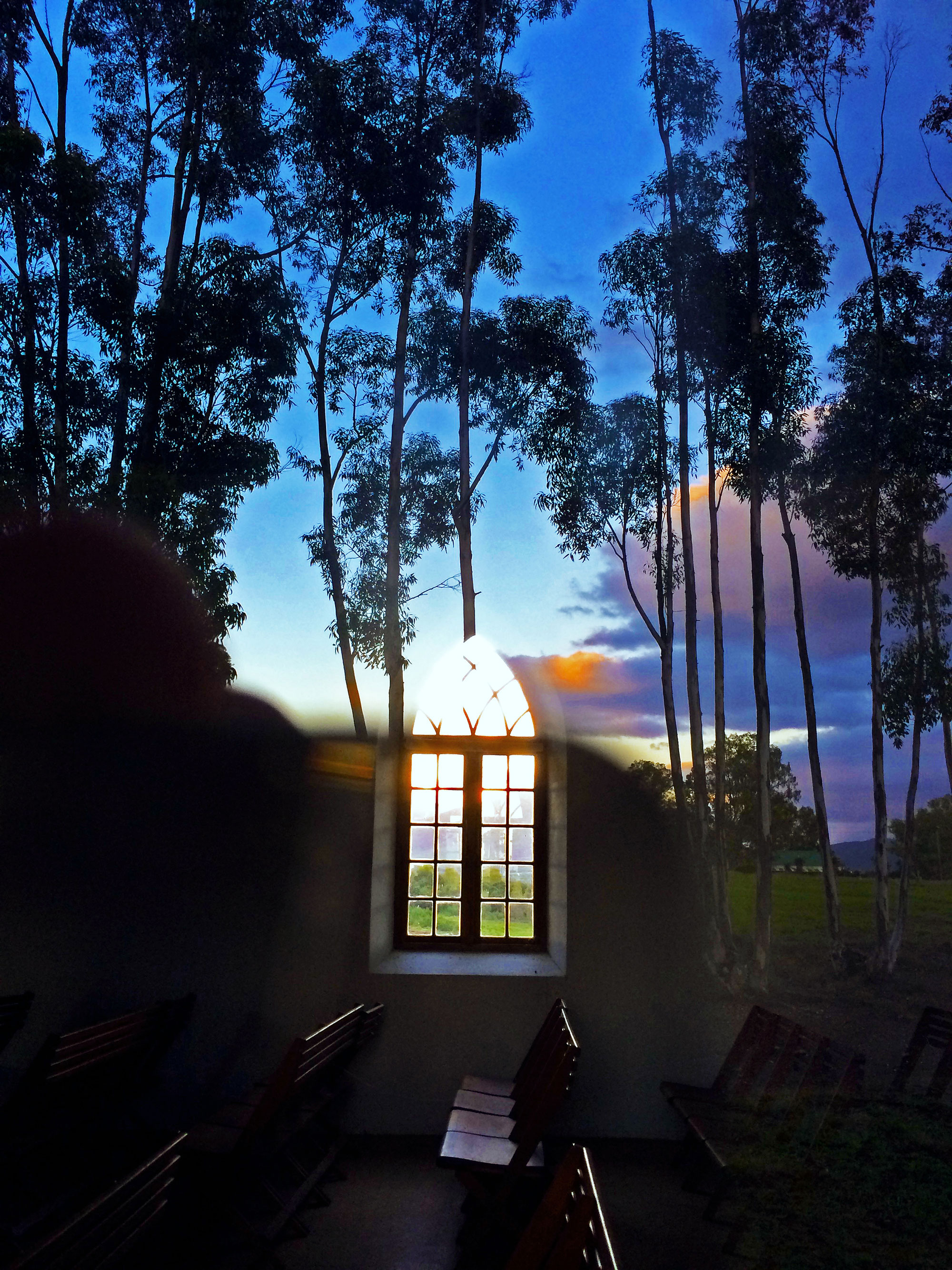 Ed O'Riley - Gallery